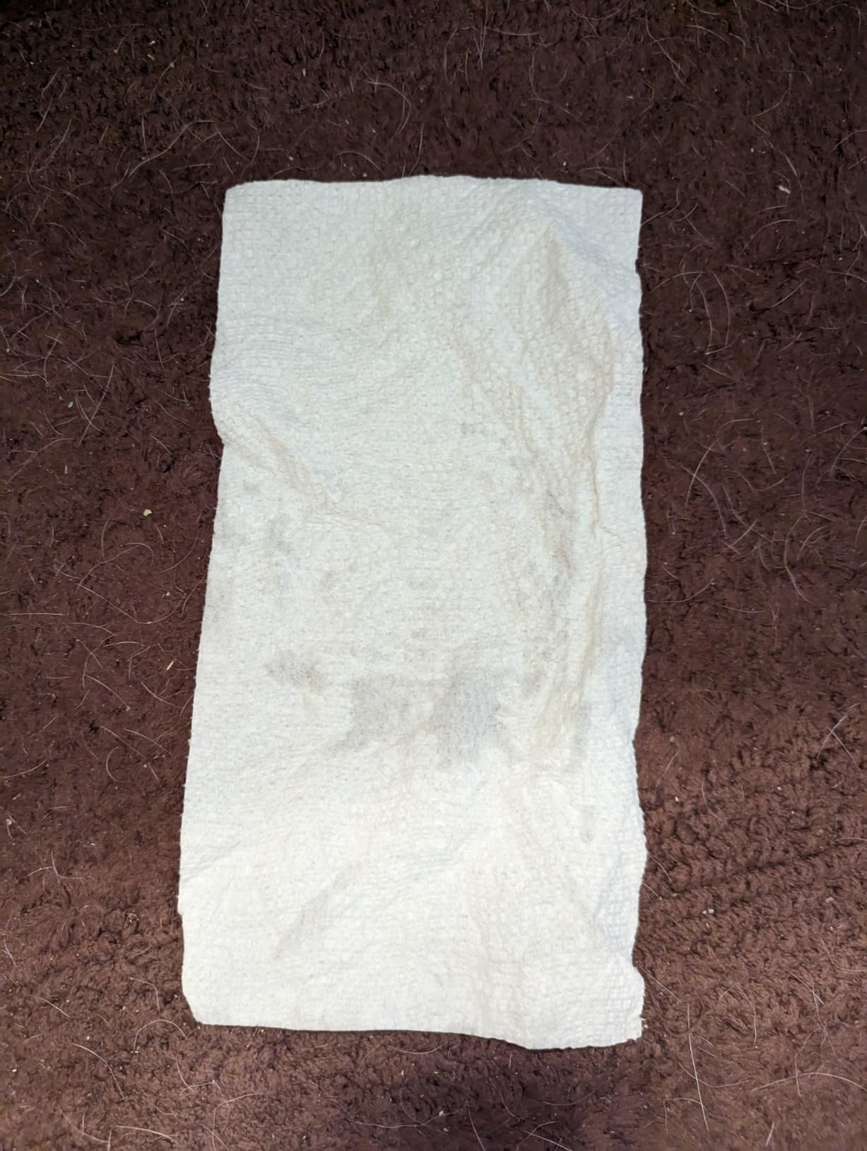 8 Best PICC Line Shower Covers (February 2026) Tested